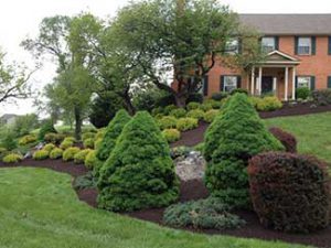 A Cut Above Landscaping in Winchester, VA